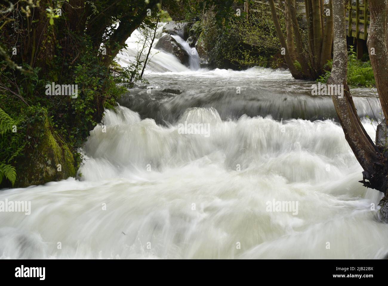 The river has overflowed hi-res stock photography and images - Alamy