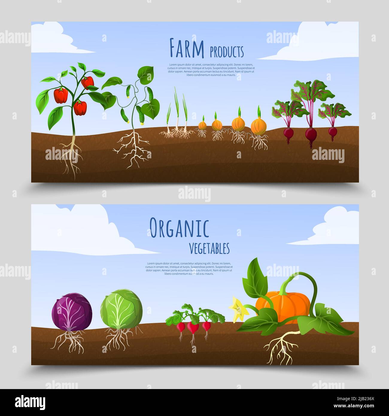 Healthy food horizontal banners with farm products and organic ...