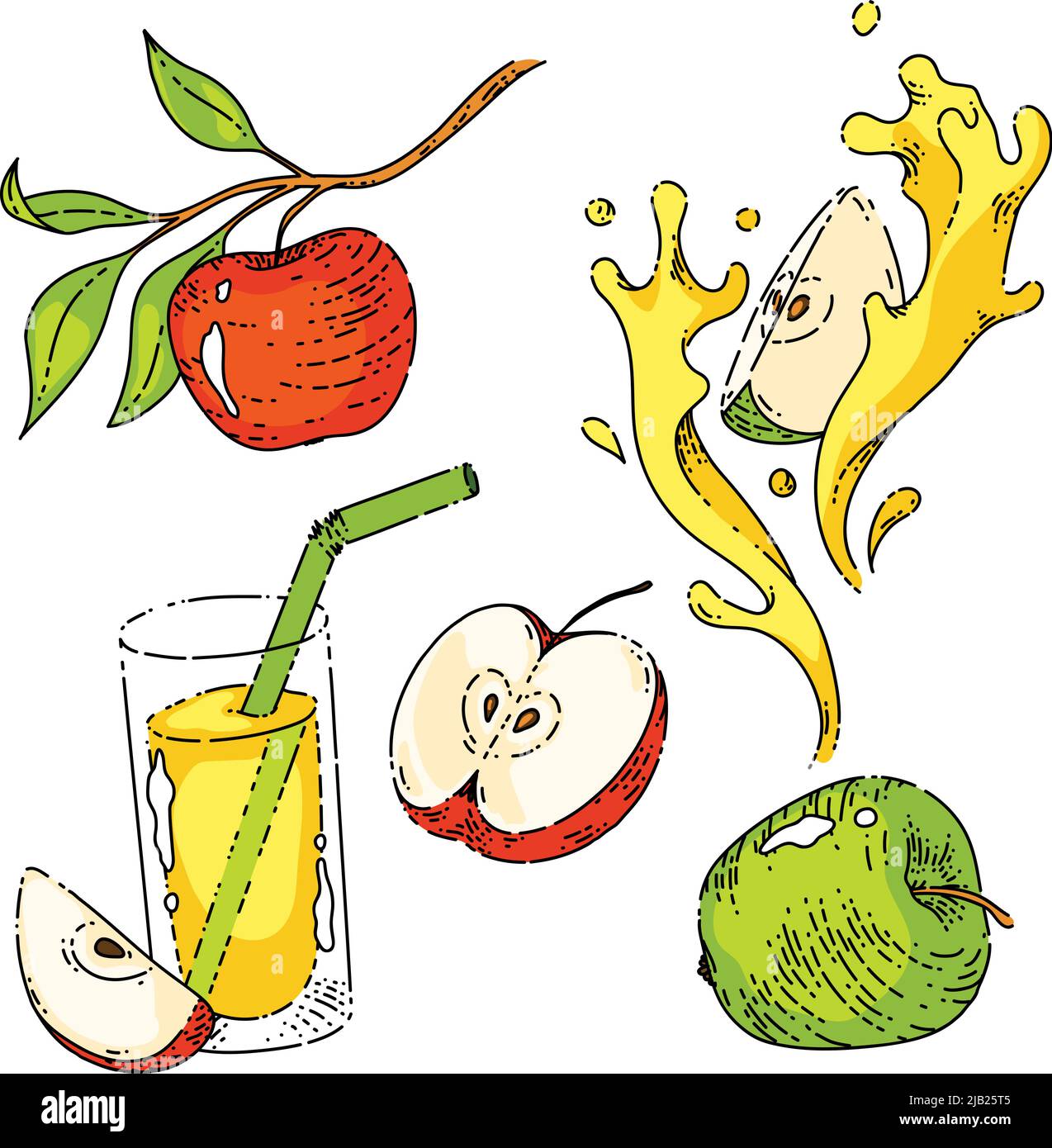 Apple half color line Stock Vector Images - Alamy