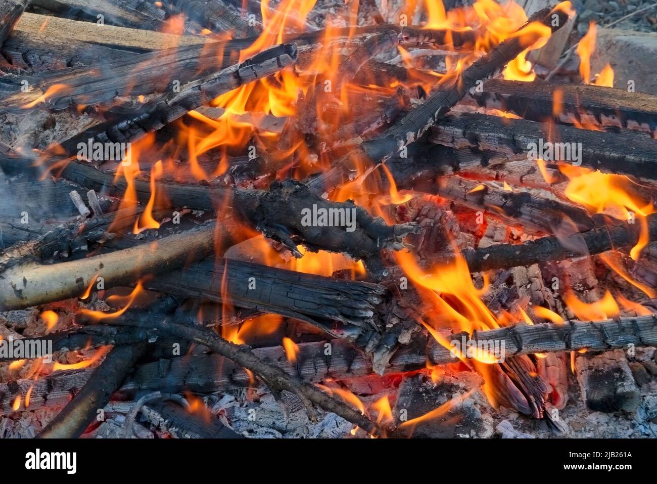 Red flames of teepee campfire on dark ground at campsite in wild at ...