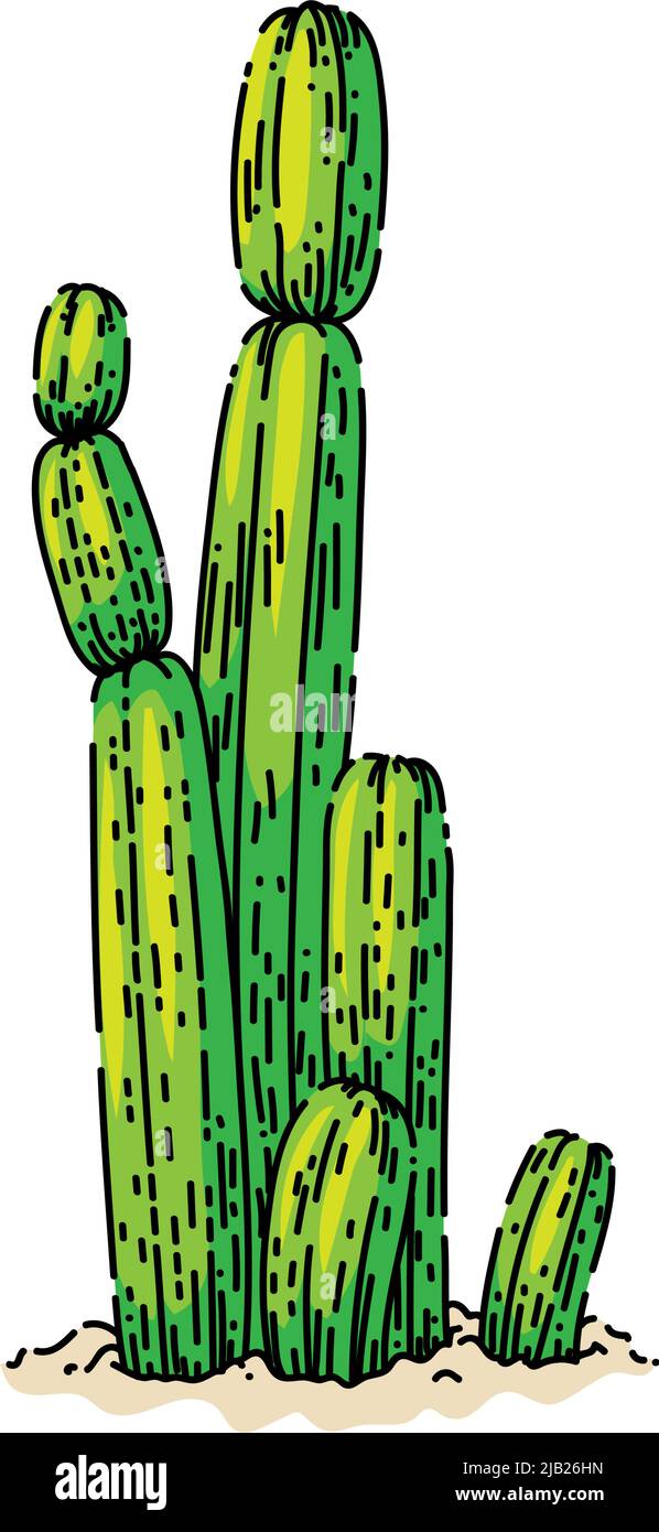 Saguaro national Stock Vector Images - Alamy