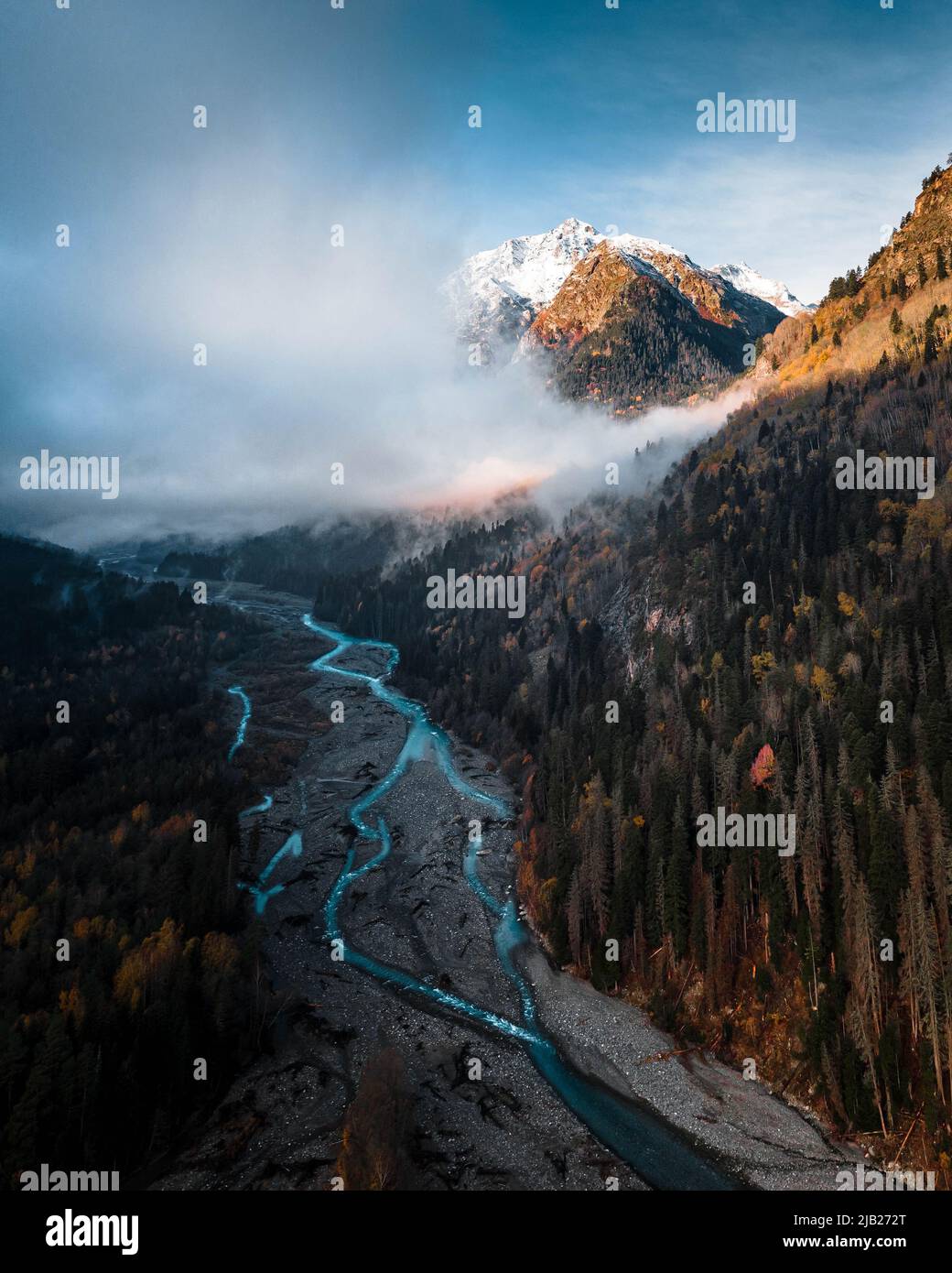 wild mountain river flows between trees under low clouds Stock Photo ...