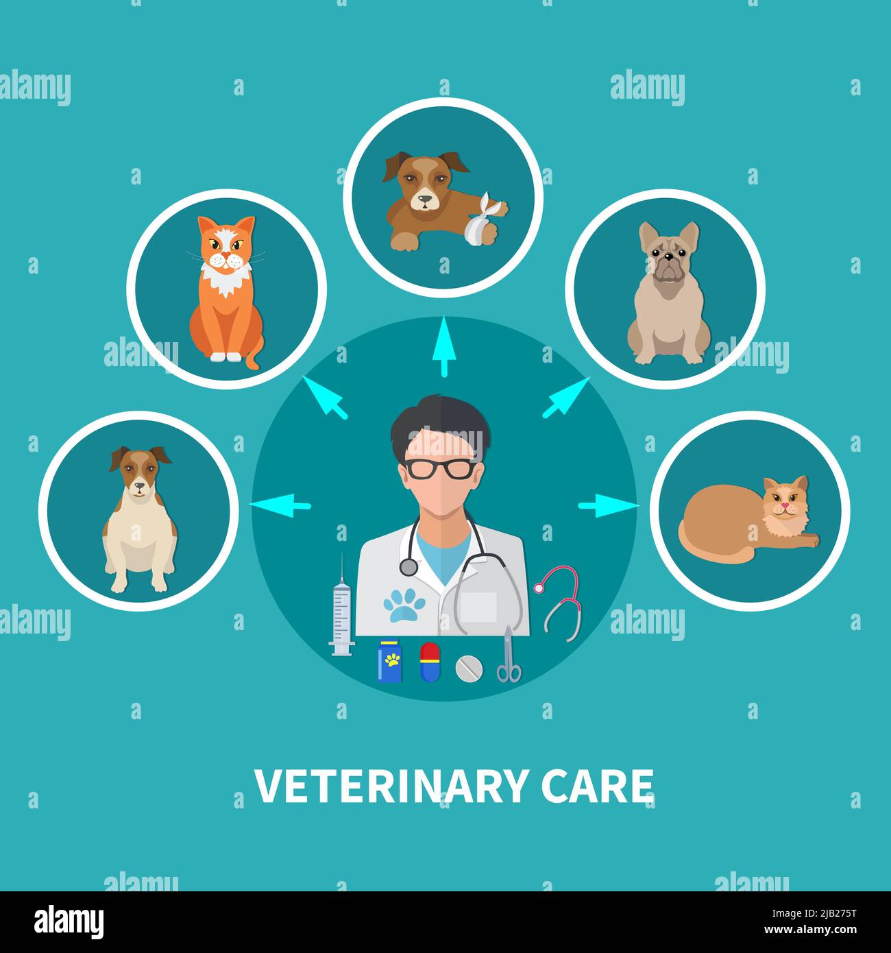 Veterinary care flat round icons composition background poster with ...