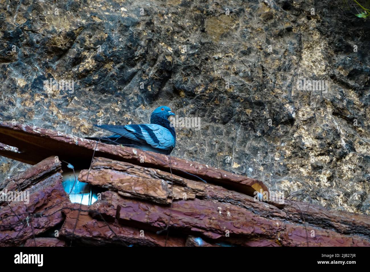 Prophet abraham cave hi-res stock photography and images - Alamy