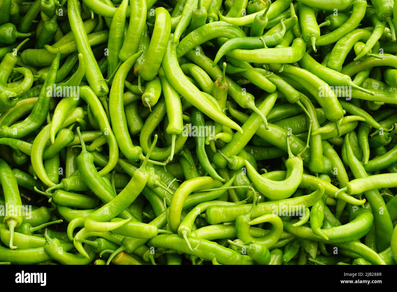 Green pepper texture template background Stock Photo - Alamy