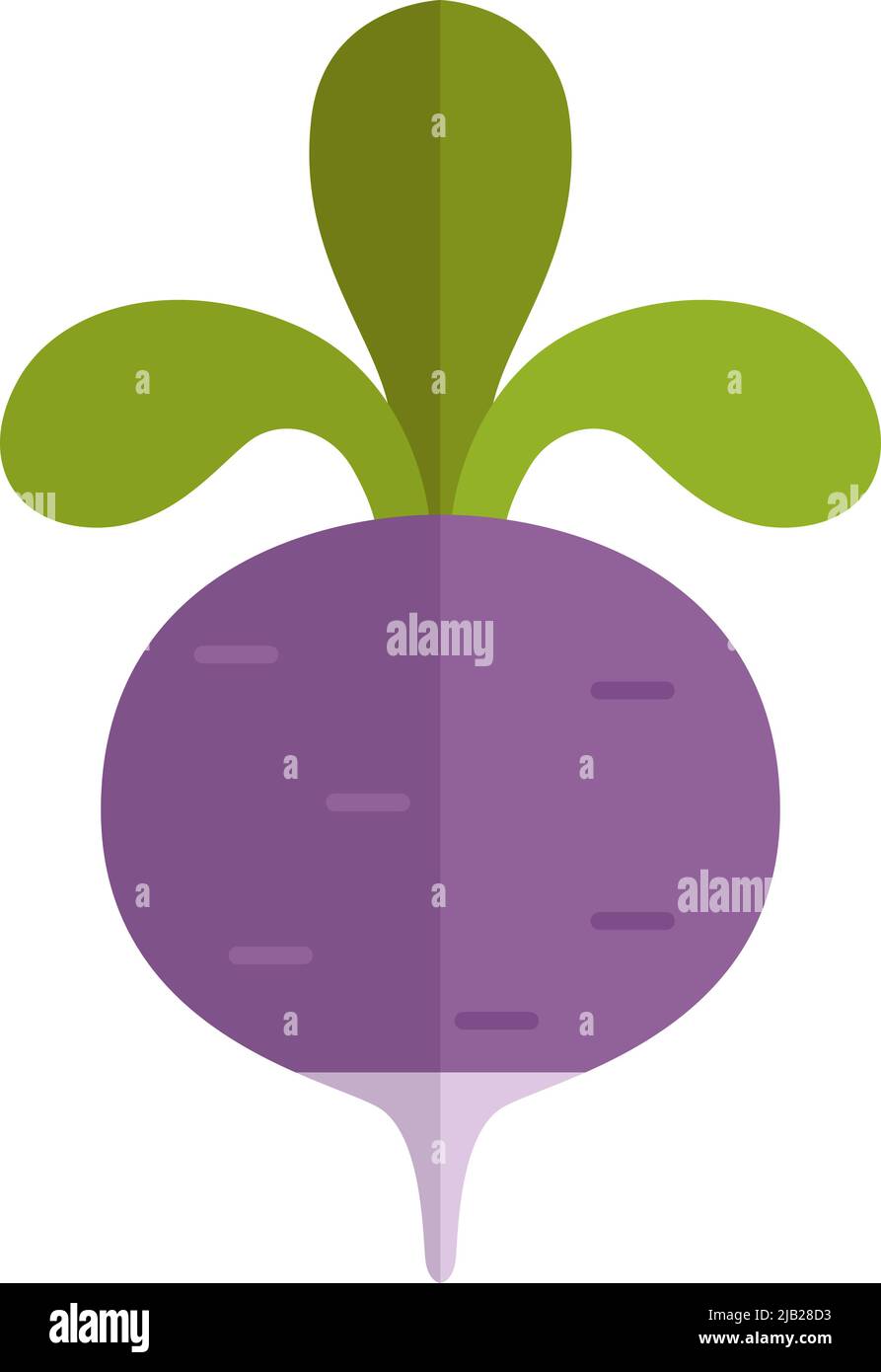 Beet icon. Sweet root symbol. Organic vegetable Stock Vector Image ...