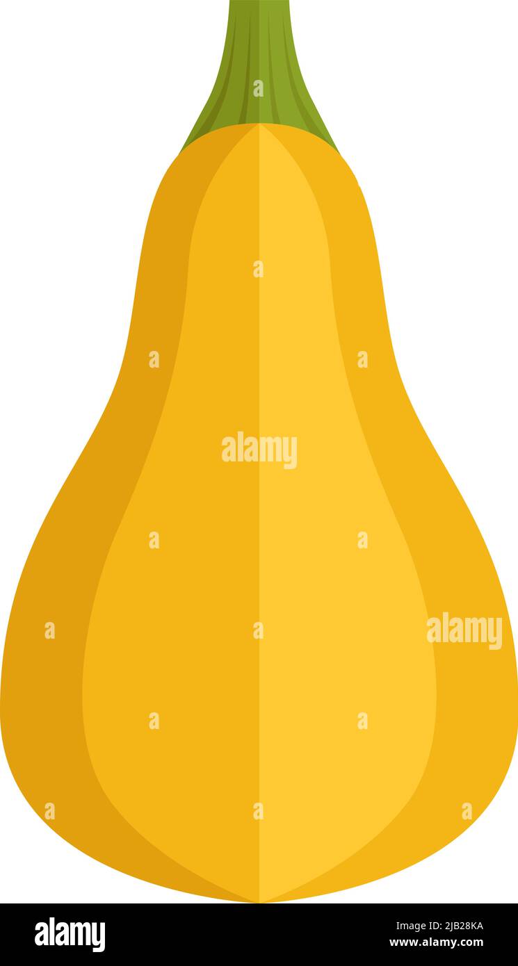 Squash icon. Raw farm vegetable flat symbol Stock Vector Image & Art ...