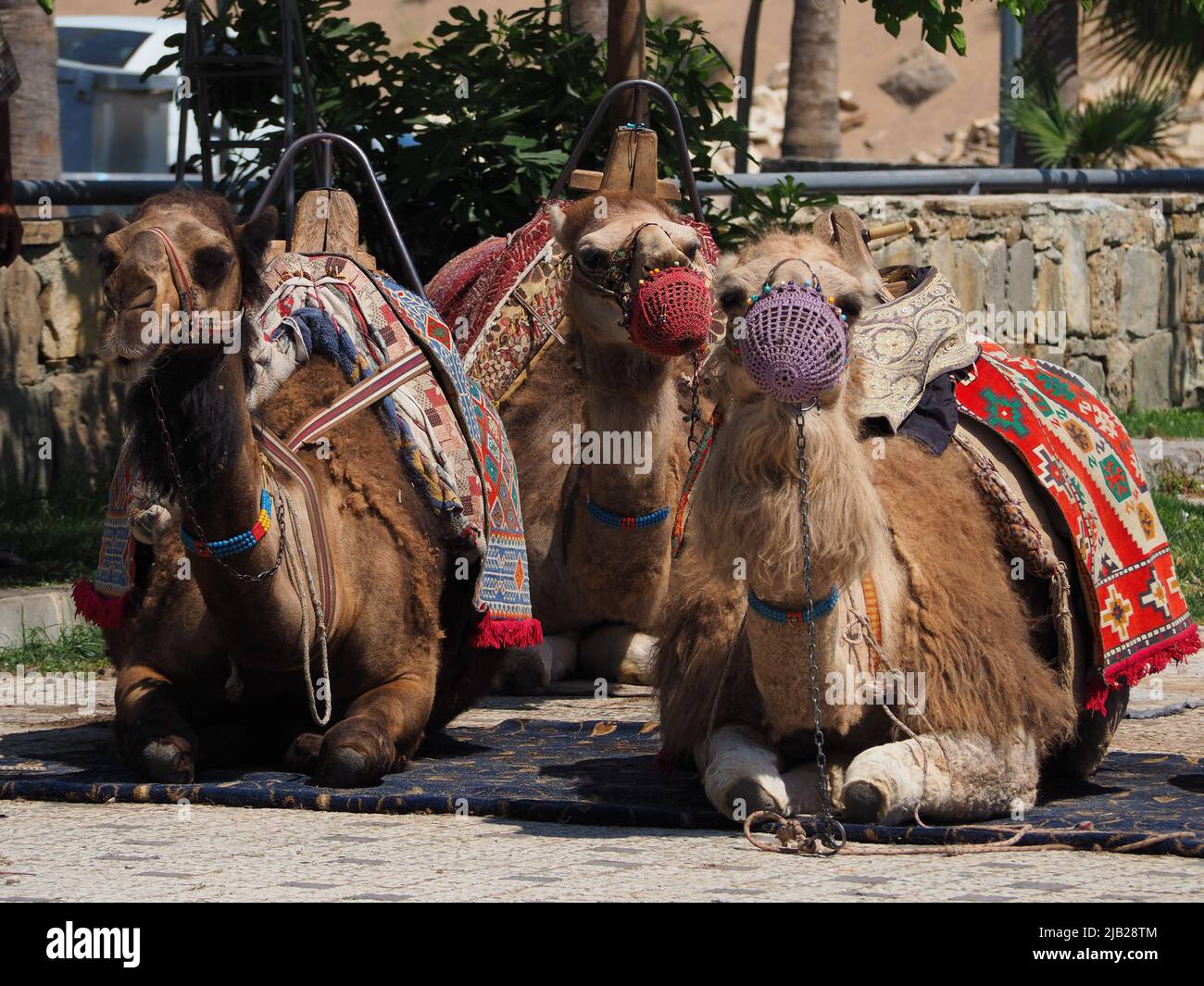 " Turkey " , " Side " , " Antalya Stock Photo - Alamy