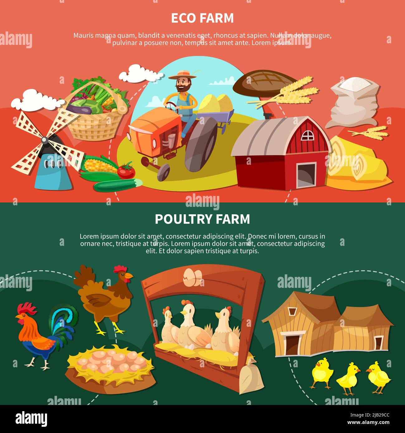 Two farm colored cartoon banner set with eco and poultry farm ...