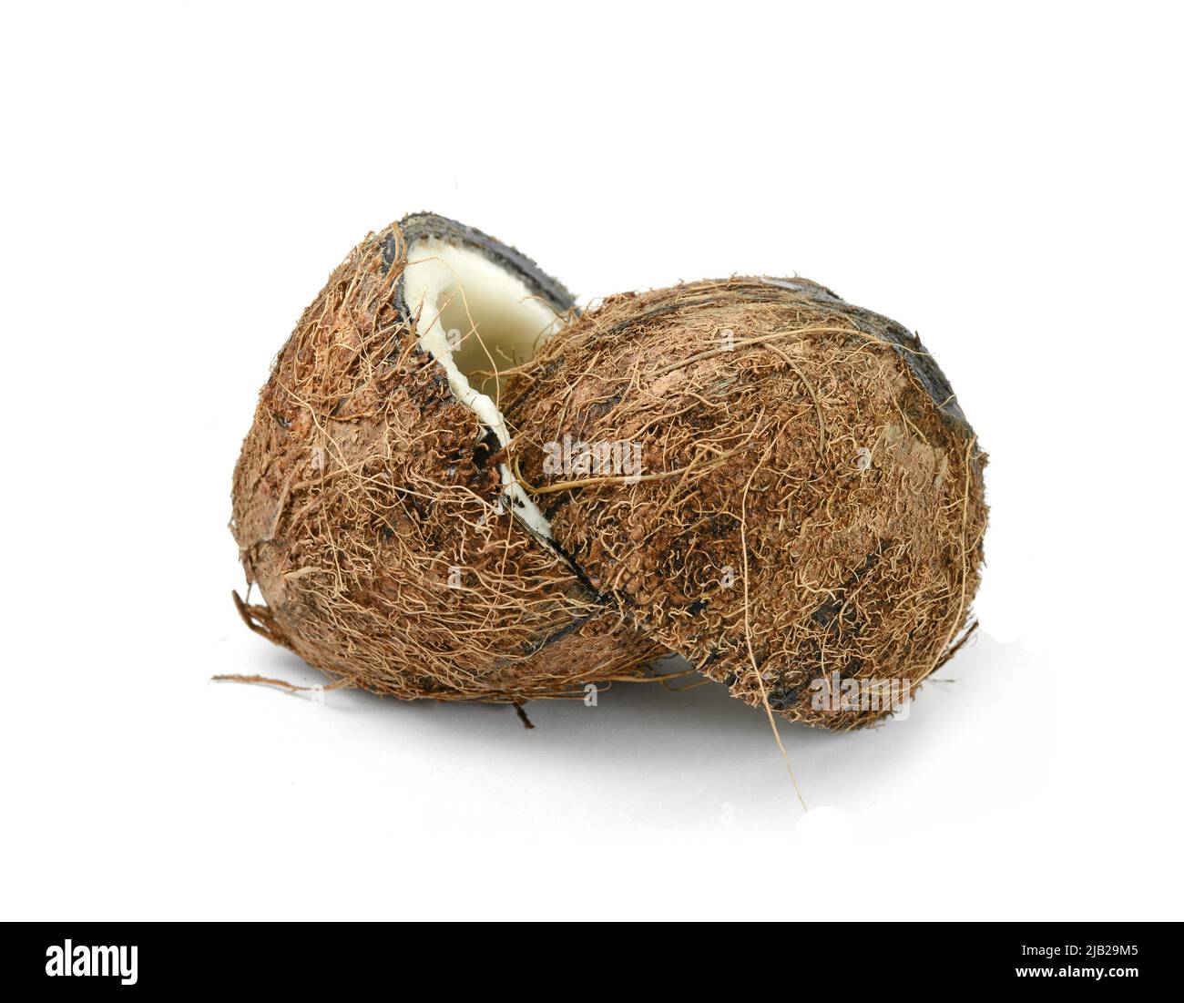 two halves coconut isolated on white background Stock Photo - Alamy