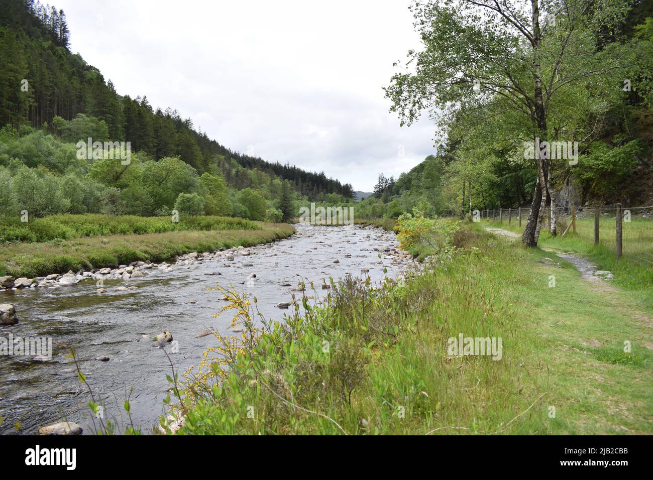 Hafod forest hi-res stock photography and images - Alamy