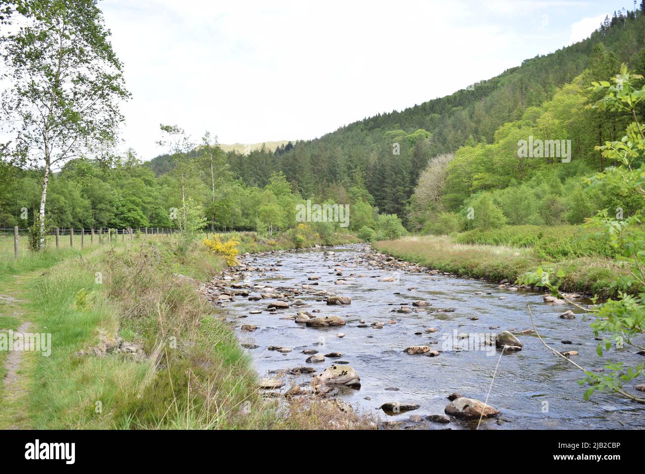 River flowing through Hafod estate in Spring Stock Photo - Alamy