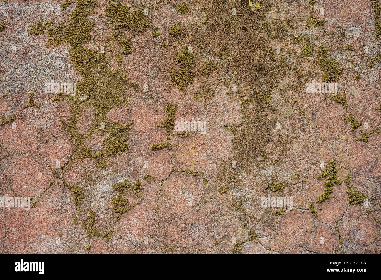 Dirt Wall Background.Cement wall background.Moss old cement wall Stock ...