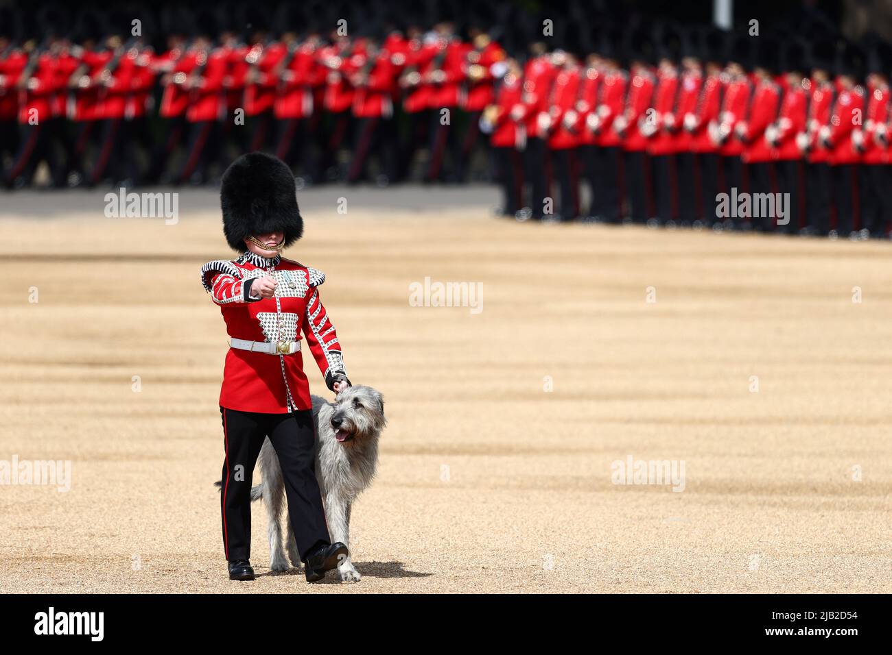 Royal irish regiment colour hi-res stock photography and images - Alamy