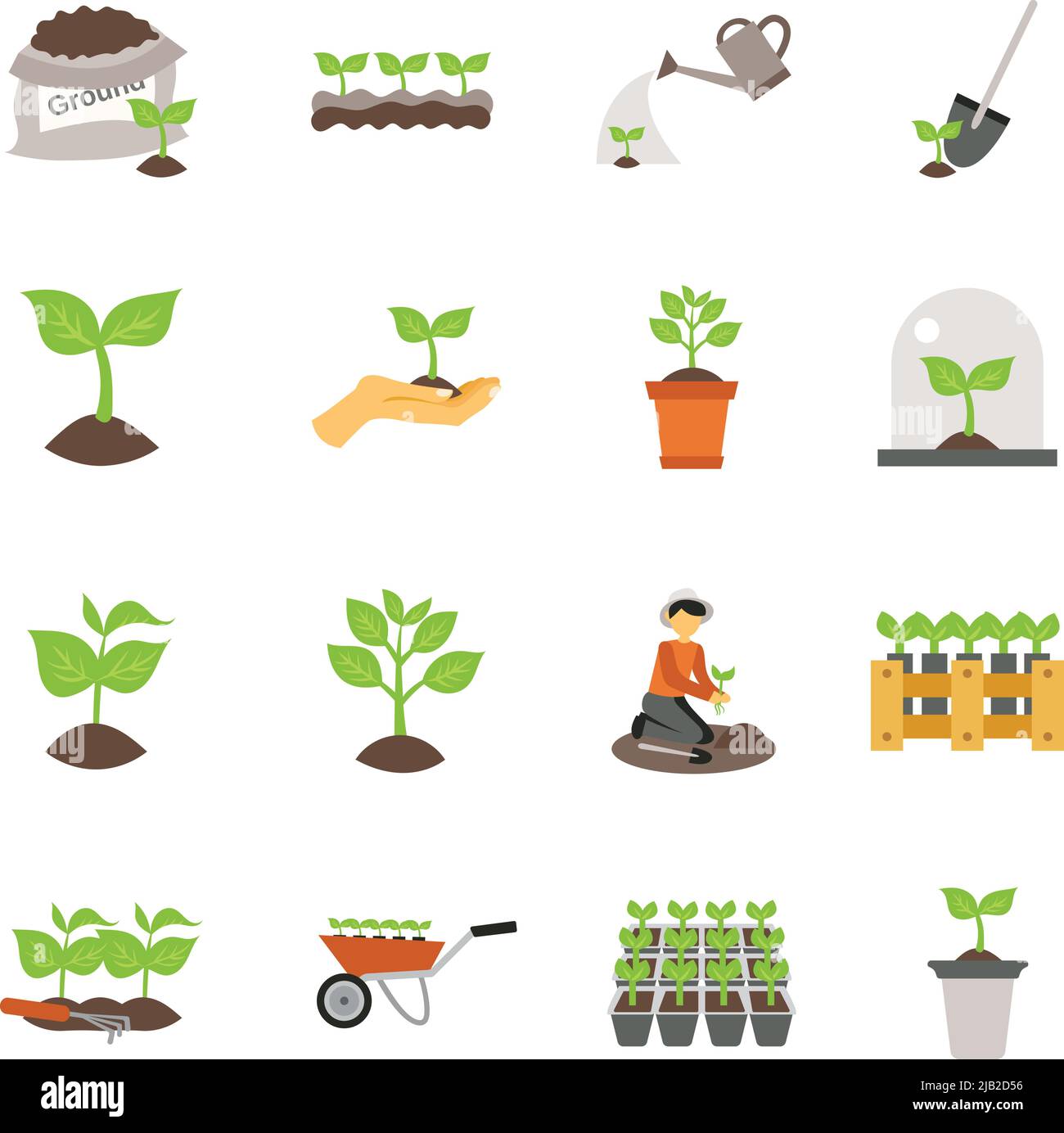 Flowers and plants seedling process flat icons set isolated vector ...