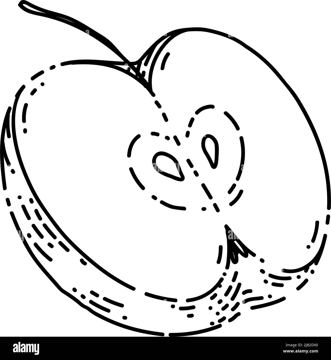 apple piece sketch hand drawn vector Stock Vector Image & Art - Alamy