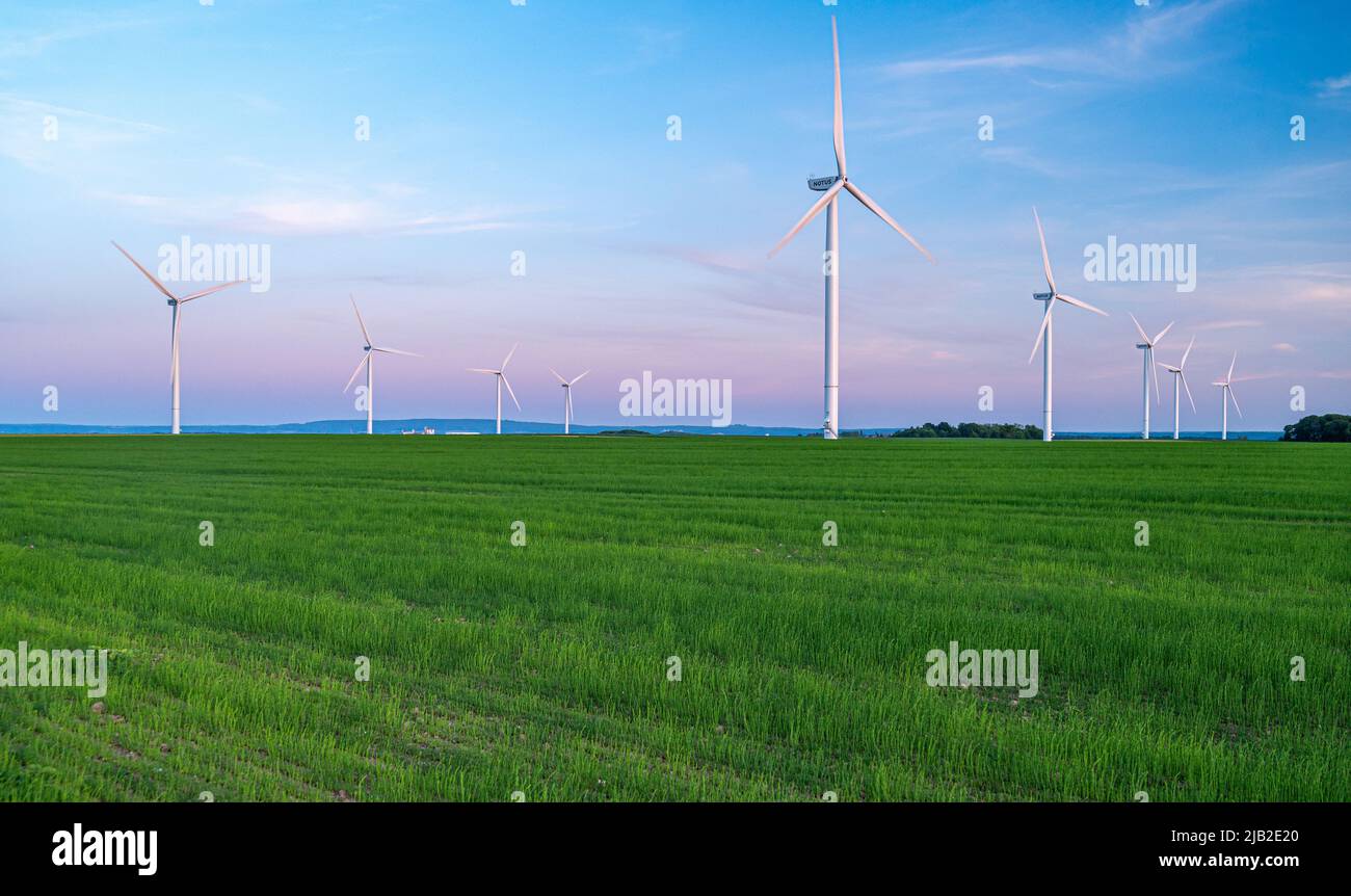 Incredible sight of wind turbines generating renewable energy within an ...