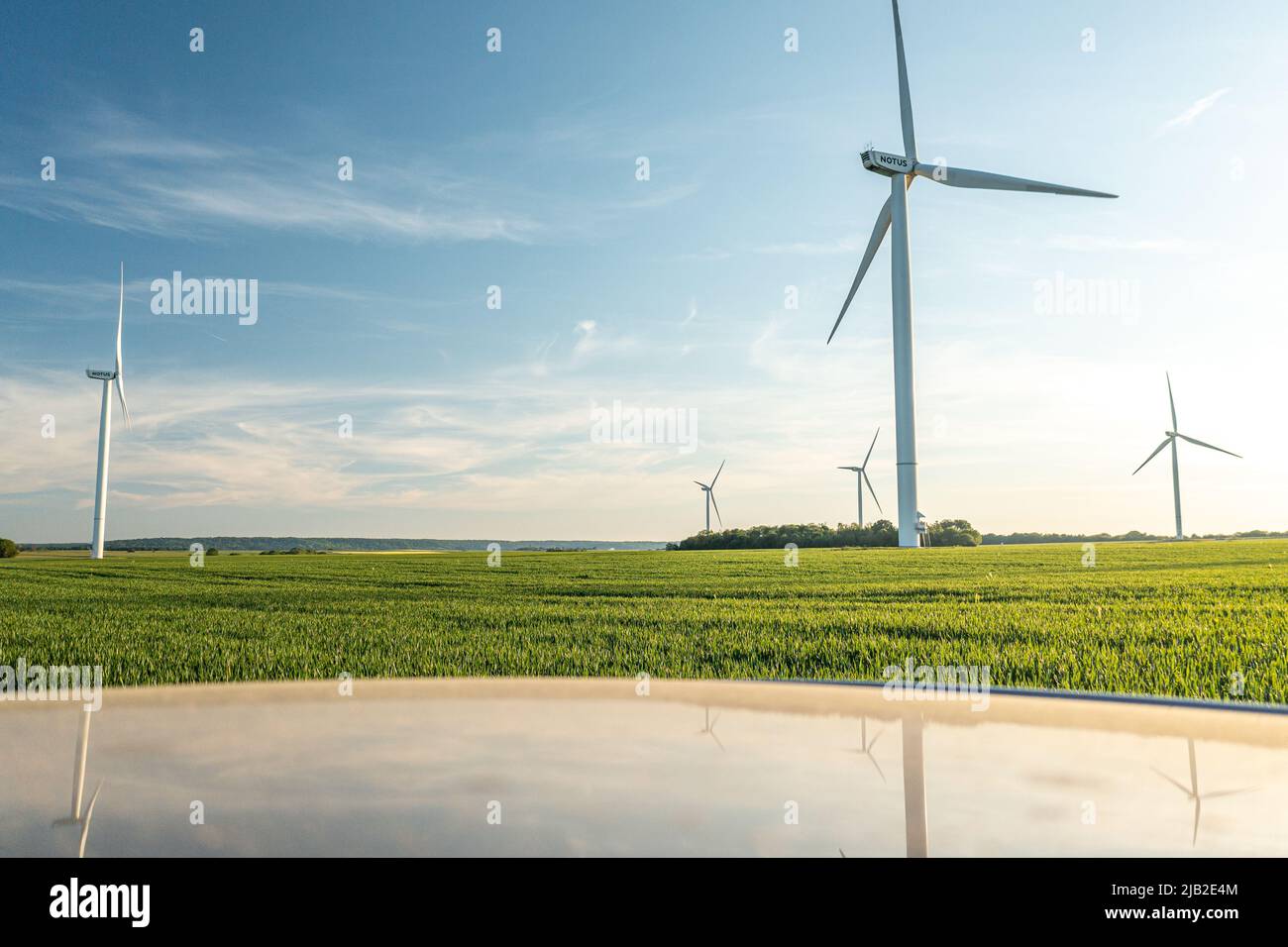 Aerial view of a wind turbines in a wheat farm, efficient agriculture ...
