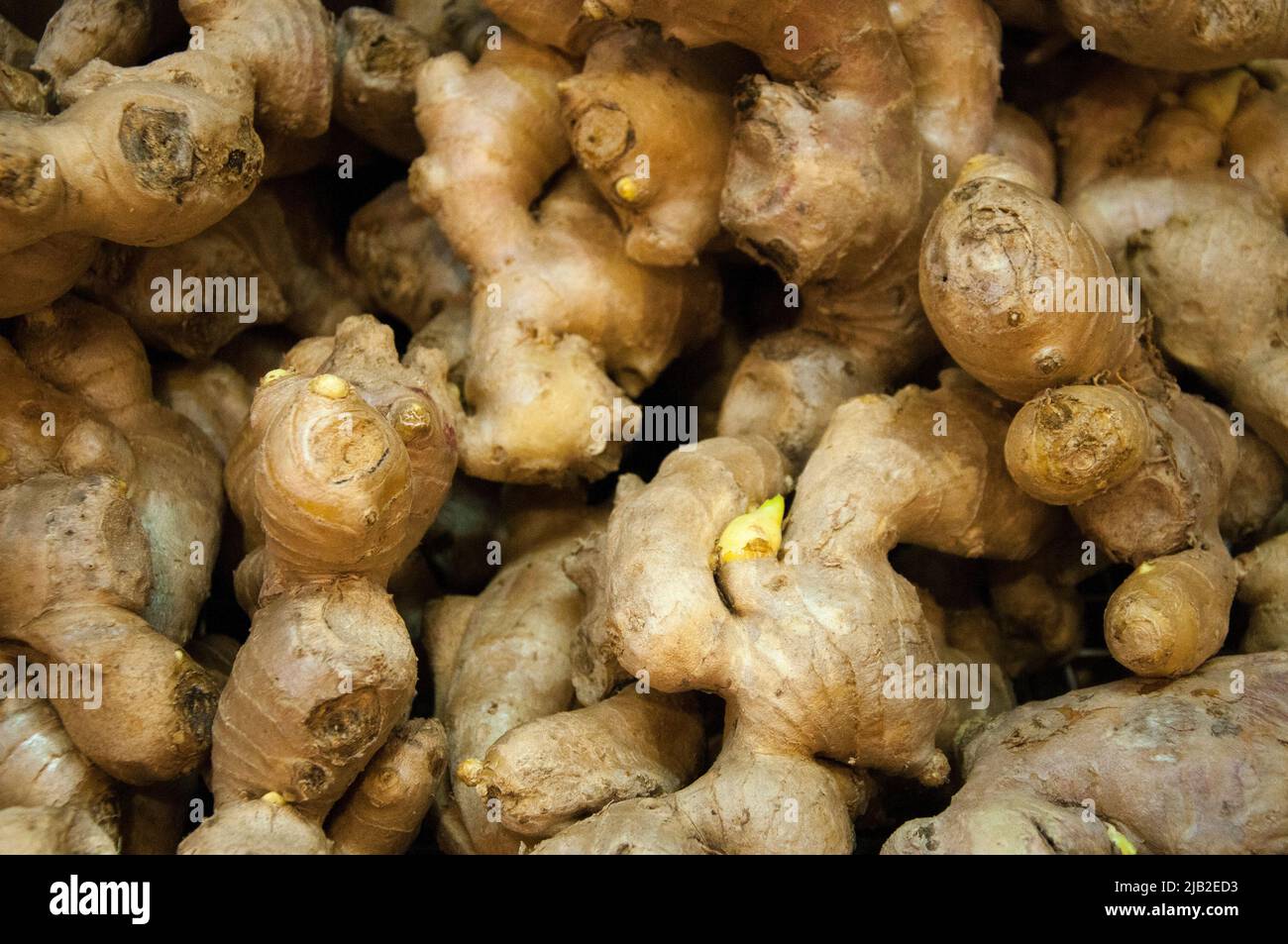Root ginger hi-res stock photography and images - Alamy