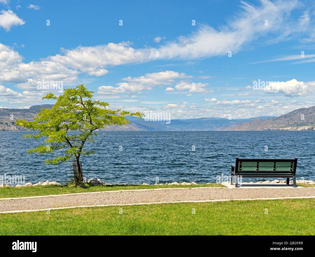 Scenery Okanagan lake overview with the bench and tree at the ...