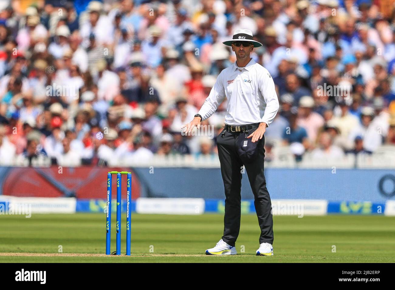 Umpire Michael Gough give not out after review Stock Photo - Alamy