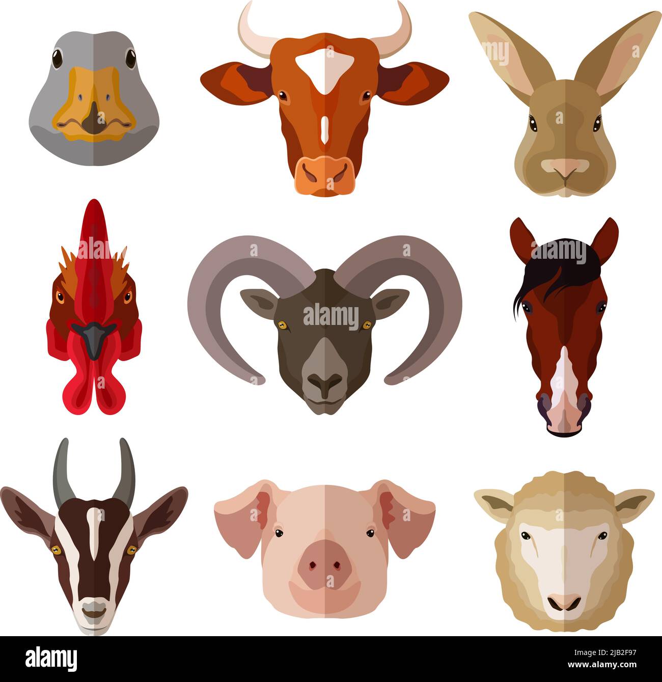 Cow goose hi-res stock photography and images - Alamy