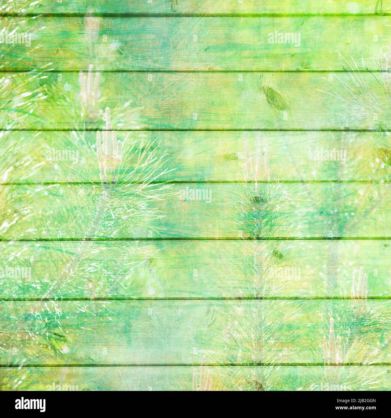 Vintage wood background with pine tree silhouettes Stock Photo - Alamy