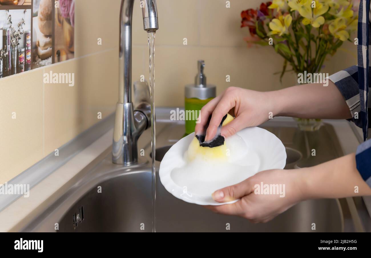 Washing a white plate with a sponge with dishwashing liquid with foam ...