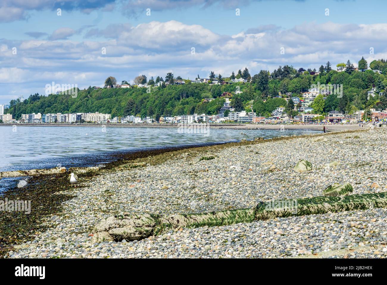 A view of Alki Beach from a point in West Seattle Stock Photo - Alamy