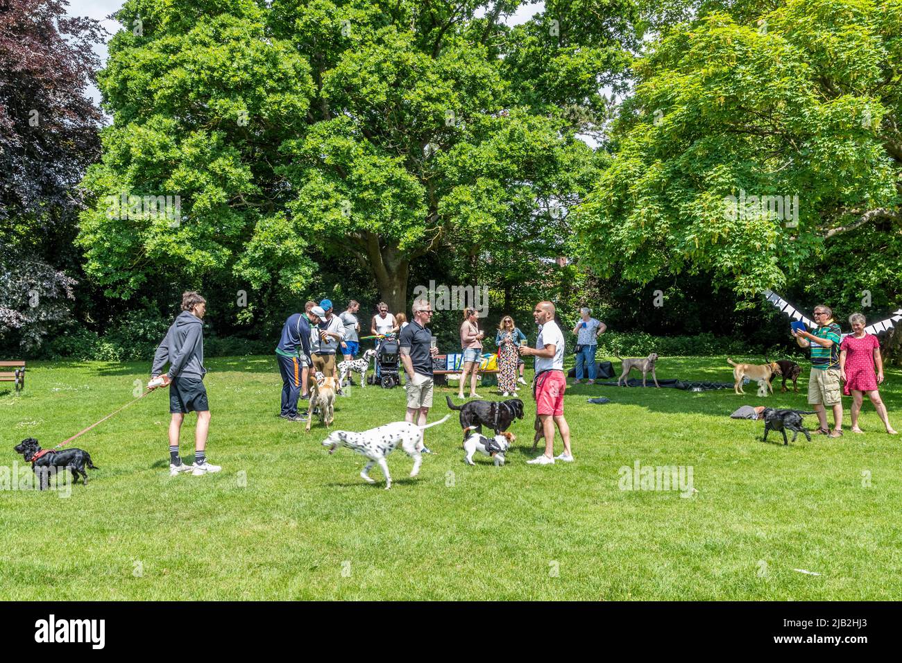 Northampton UK. 2nd June 2022. Jubilee dog party in Abington Park ...