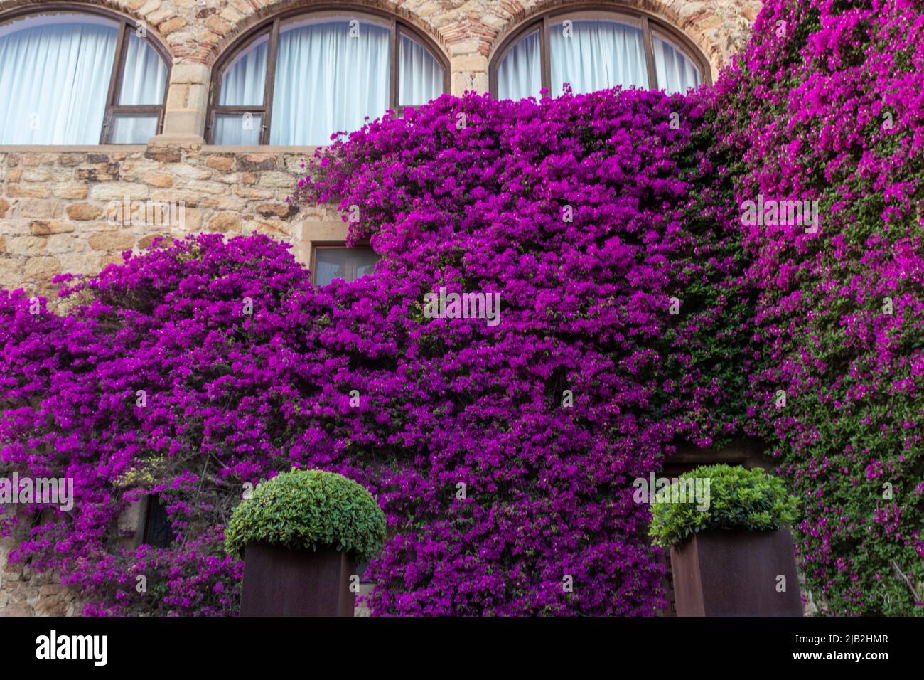 facade of a medieval building full of flowers in the medieval village ...