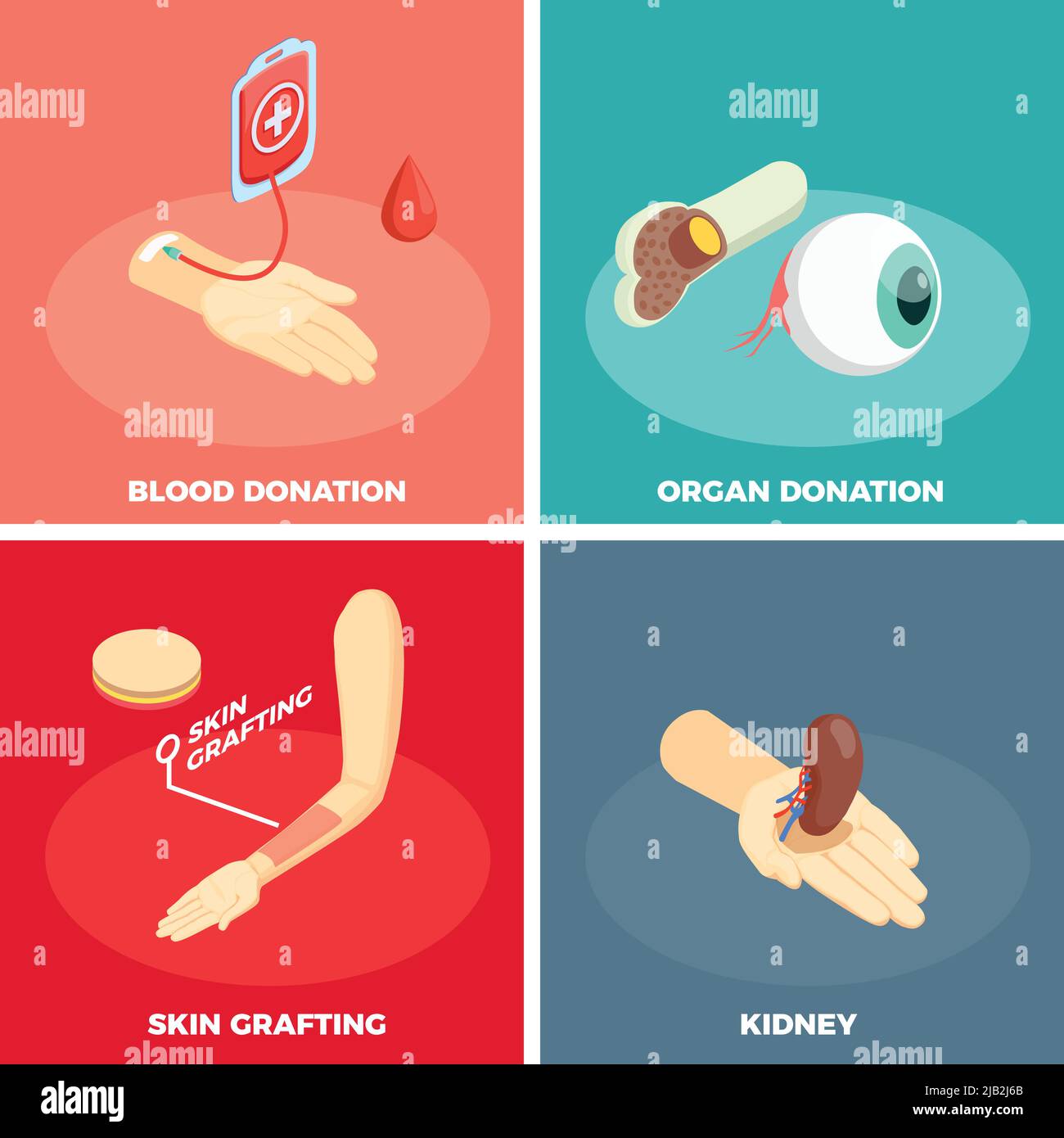 Transplantation 2x2 design concept with organ donation skin grafting ...