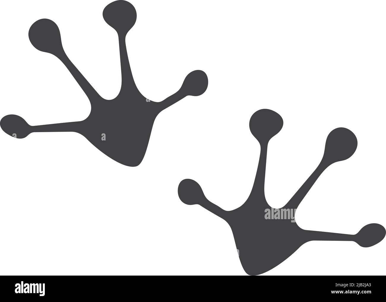 Toad footprint hi-res stock photography and images - Alamy