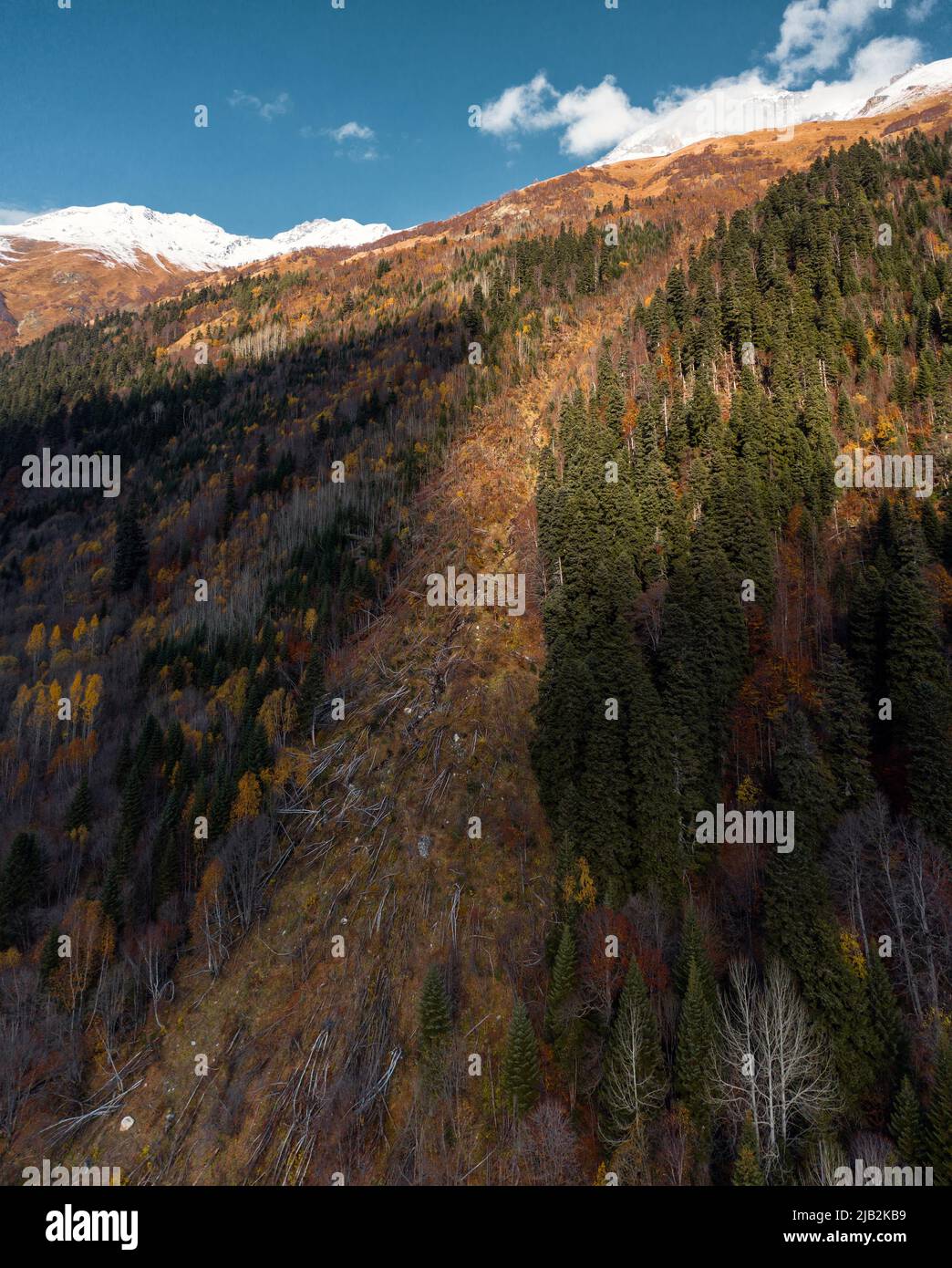 footprint in the forest left by an avalanche that descended in winter ...