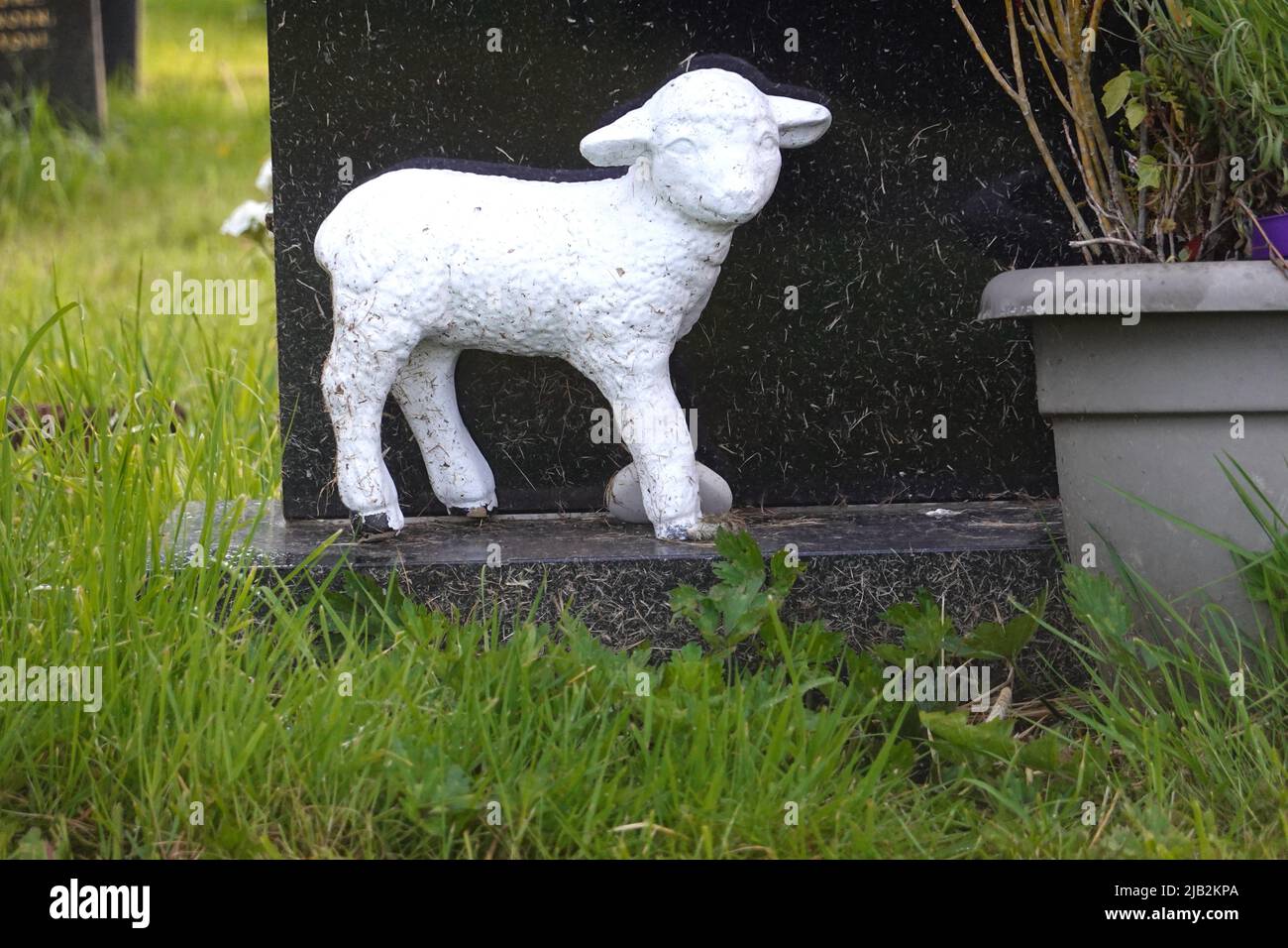 Grave lamb hi-res stock photography and images - Alamy