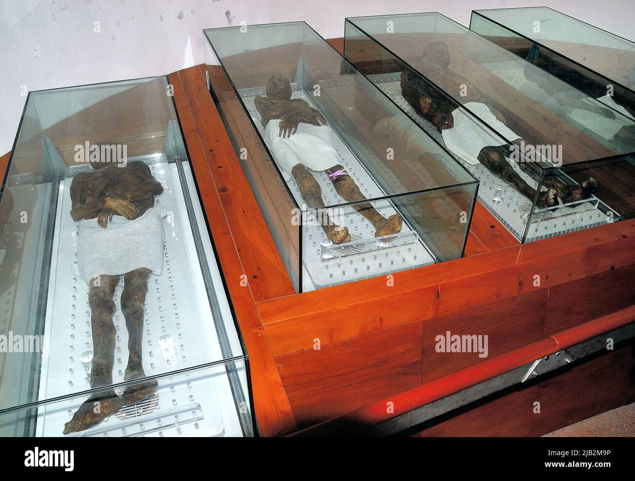 Venzone, Friuli Venezia Giulia, Italy. The mummies of Venzone were ...