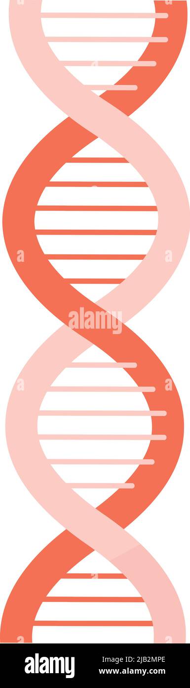 Dna helix. Human gene symbol. Biotech research icon isolated on white ...