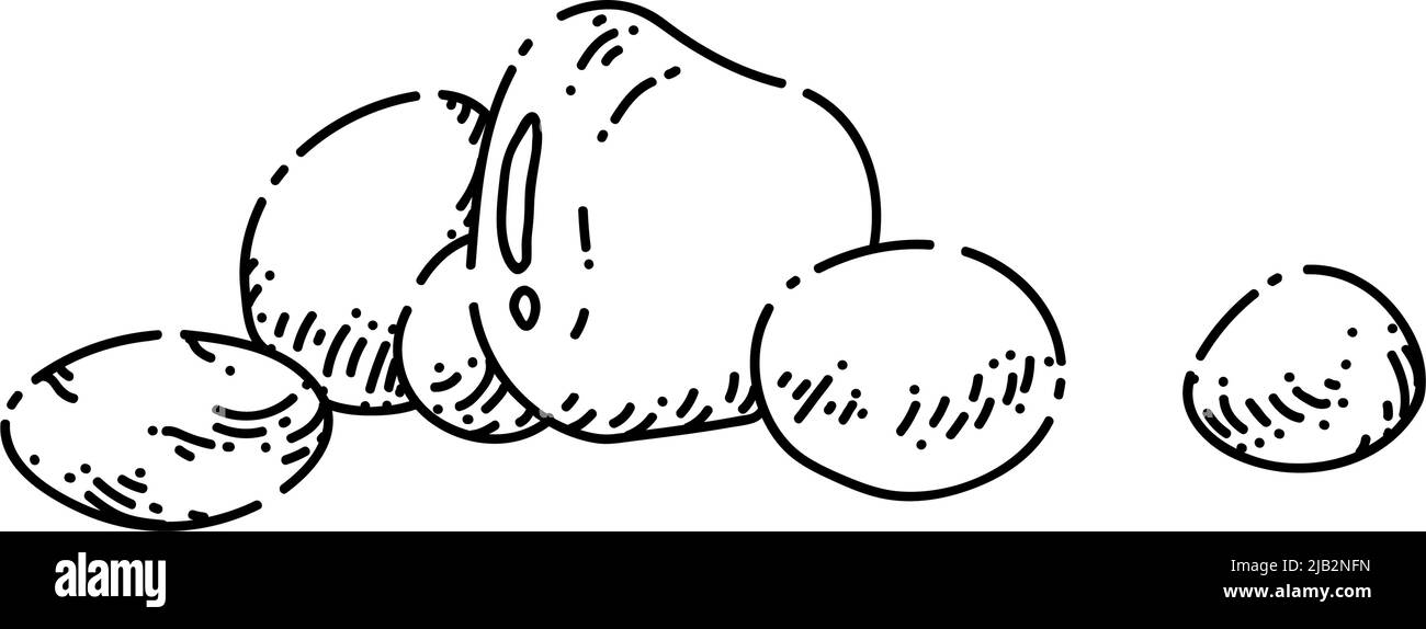 pebble sketch hand drawn vector Stock Vector Image & Art - Alamy