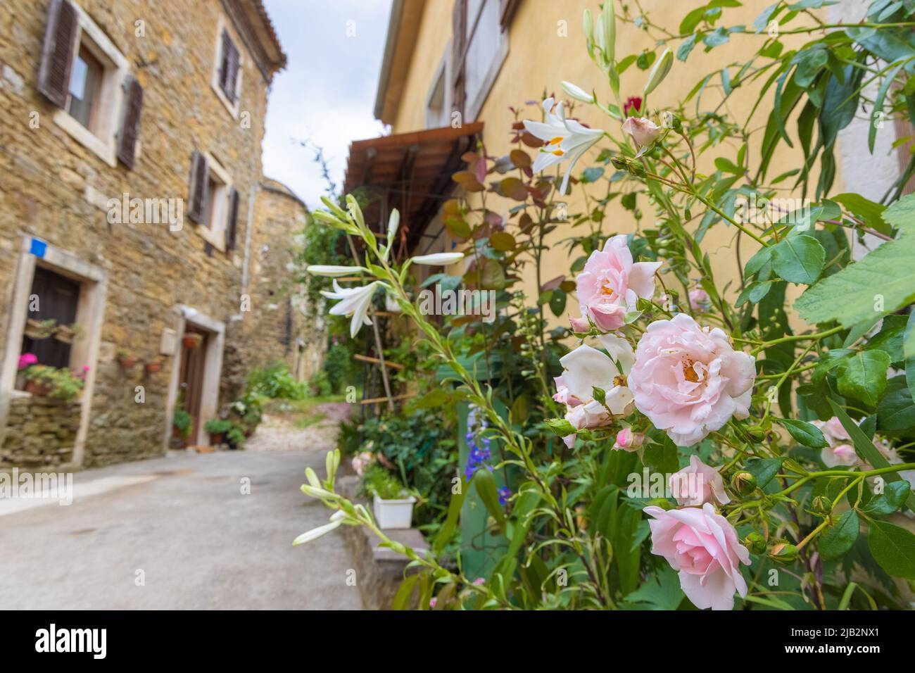 Streets of Momjan town in Istra, Croatia Stock Photo - Alamy