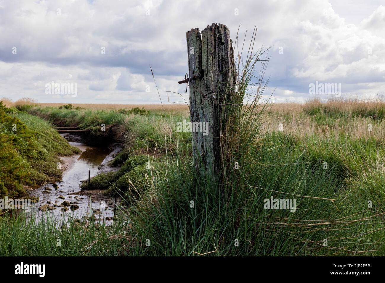 Landscape Featuring an Artistic study of an old wooden post next to a ...