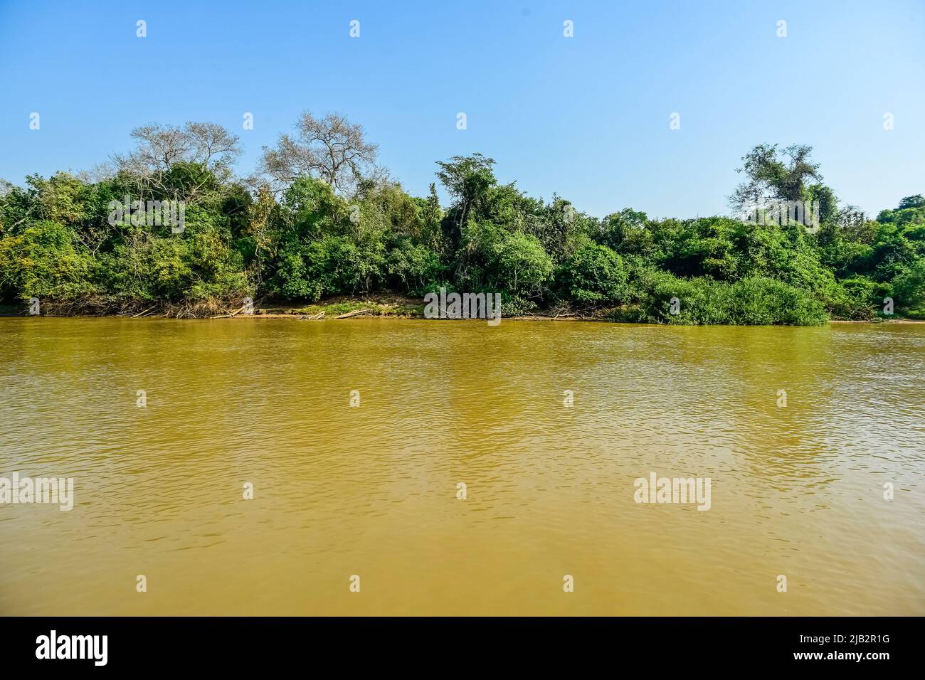 Cuiabá river landscape, Pantanal Forest , Mato grosso, Brazil Stock Photo - Alamy