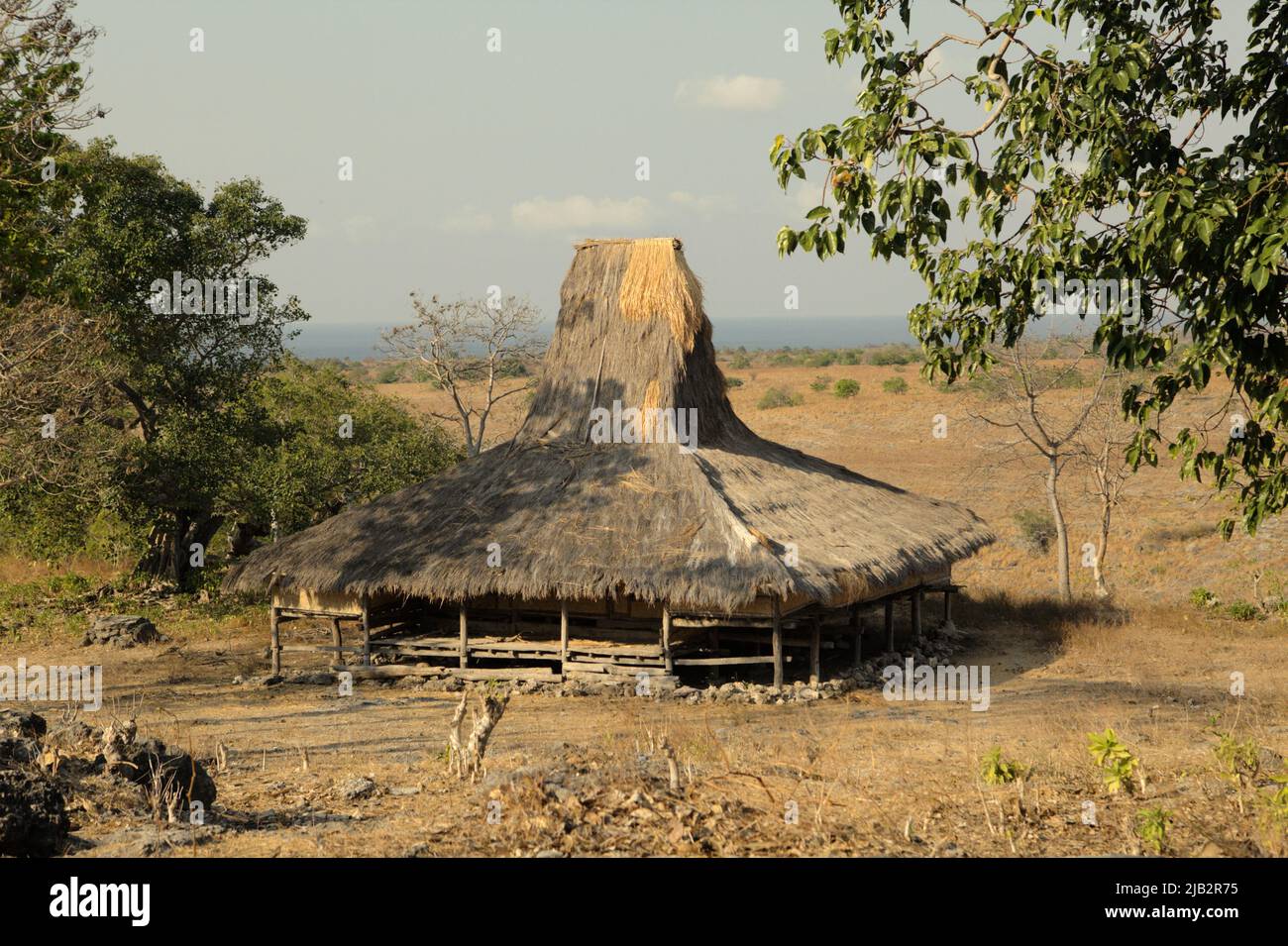 Sumbanese traditional house in traditional village of Prailiang, which ...