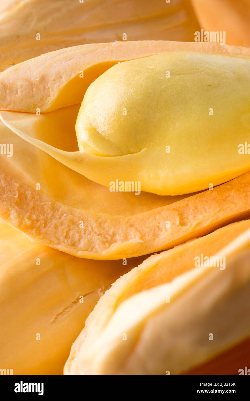 closeup of jackfruit flesh with seeds, tropical health beneficial fruit ...