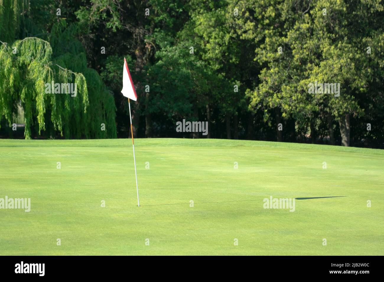 Golf course with no people. White flag in a resort golf club Stock ...