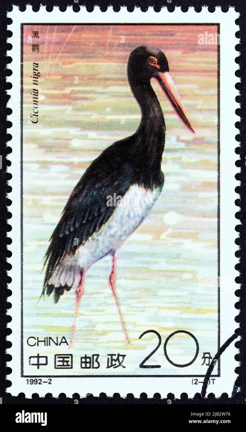 CHINA - CIRCA 1992: A stamp printed in China from the "Storks" issue ...