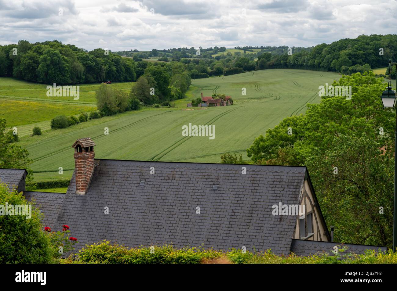 Summer landscape in Normandy, France. Green wheat grain fields on hills ...