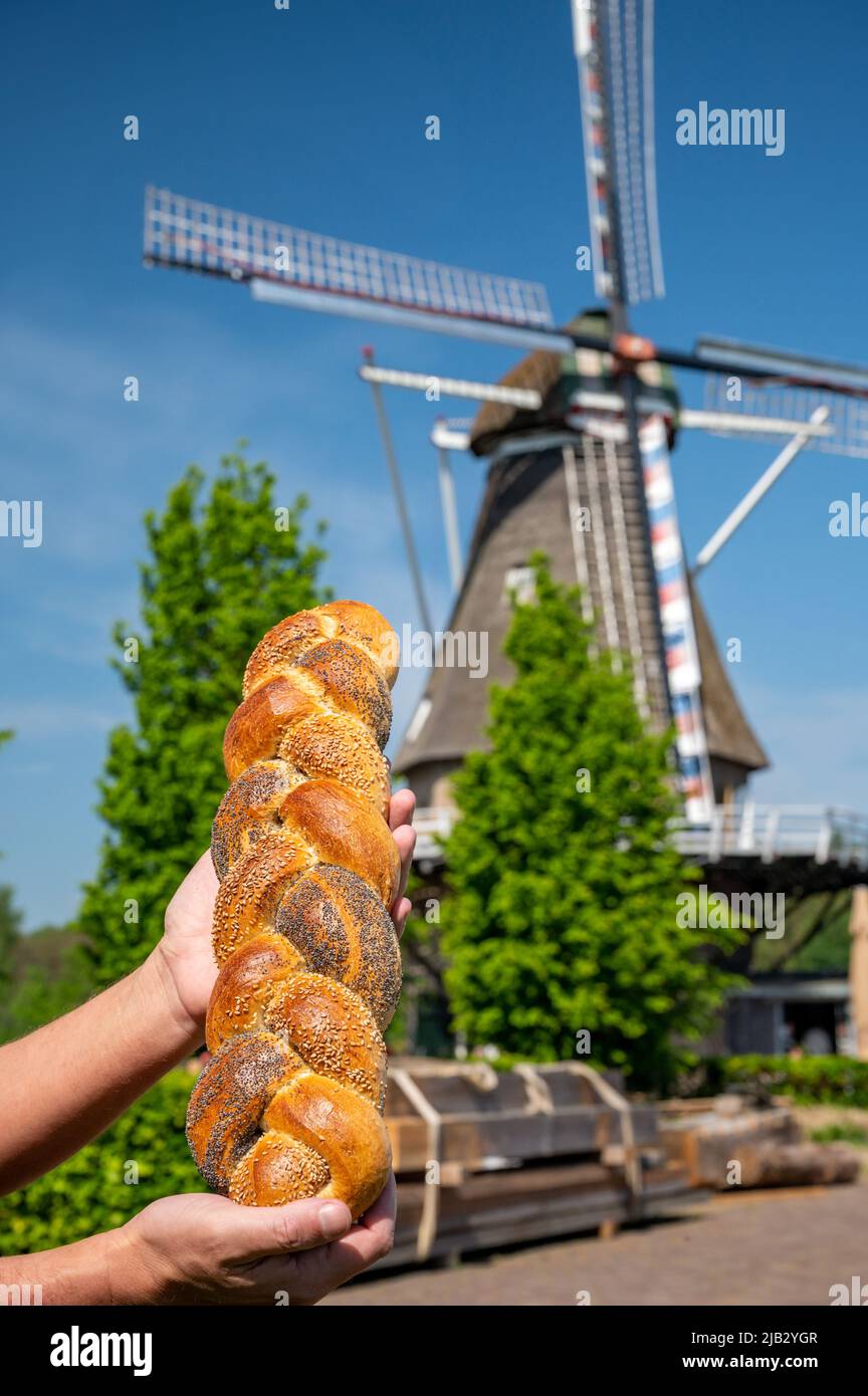 Fresh baked plaited bread with different seeds and grain wind mill on ...