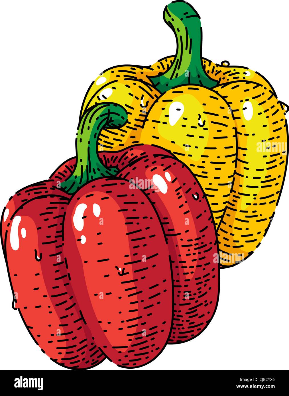 Peper top view Stock Vector Images - Alamy