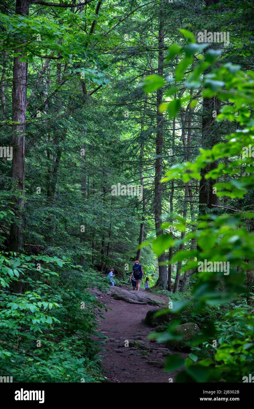 McConnells Mill is a popular State Park in Western Pennsylvanis. Its ...