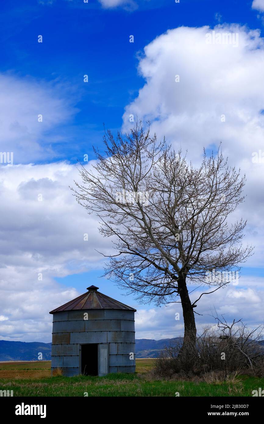 Old grain silo grainary and tree on farm ground with blue sky and ...